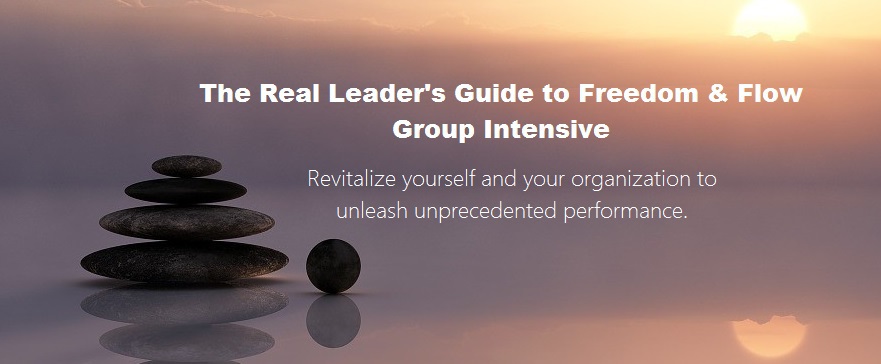 The Real Leader’s Guide to Freedom & Flow - Diane Bolden